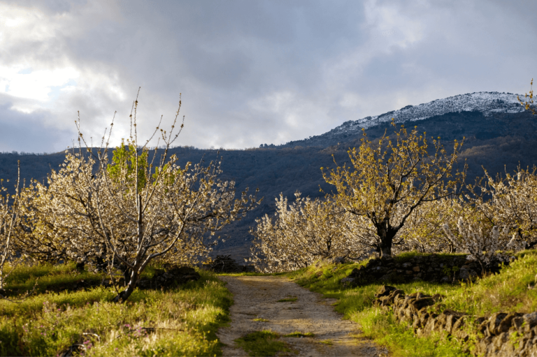 Jerte Valley Guide: what to see, where to go, and best time to visit